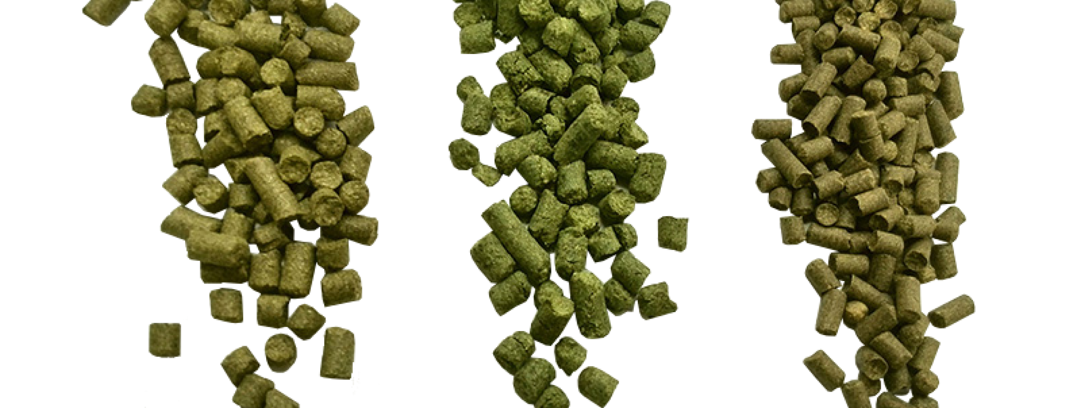 0 Comment(s) 3718 View(s) Articles